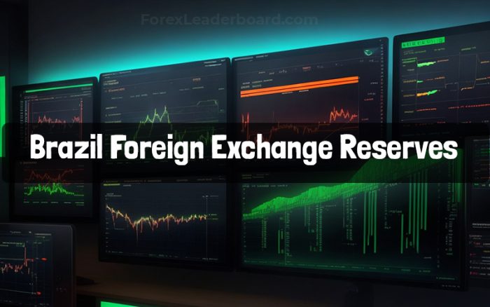 Foreign Exchange Reserves in Brazil Forex Leaderboard